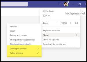 Enable Developer And Public Preview In Microsoft Teams