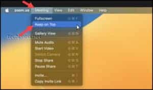 How To Enable Always On Top In Zoom App